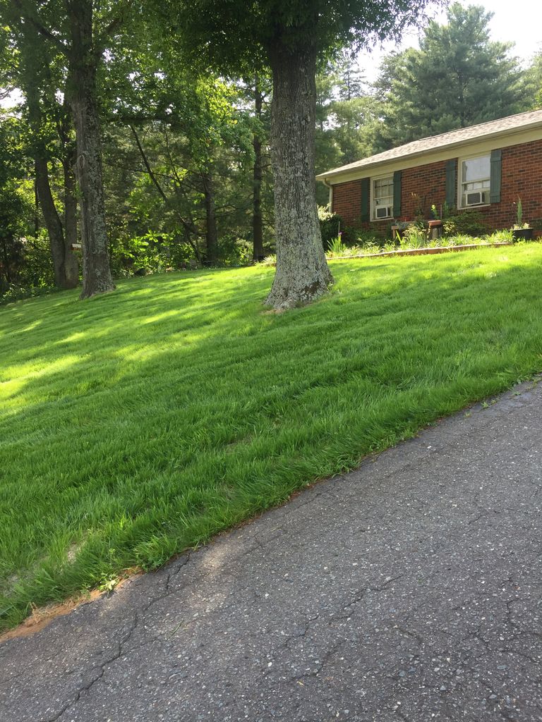 Dealing With Sloping Lawns: Tips For Growing Grass On A Slope ...