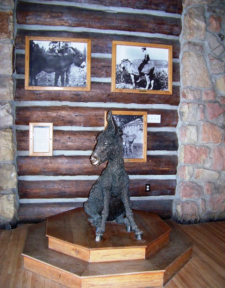 North Rim Wonders: Stunning Photos of the Mighty Grand Canyon | Live ...