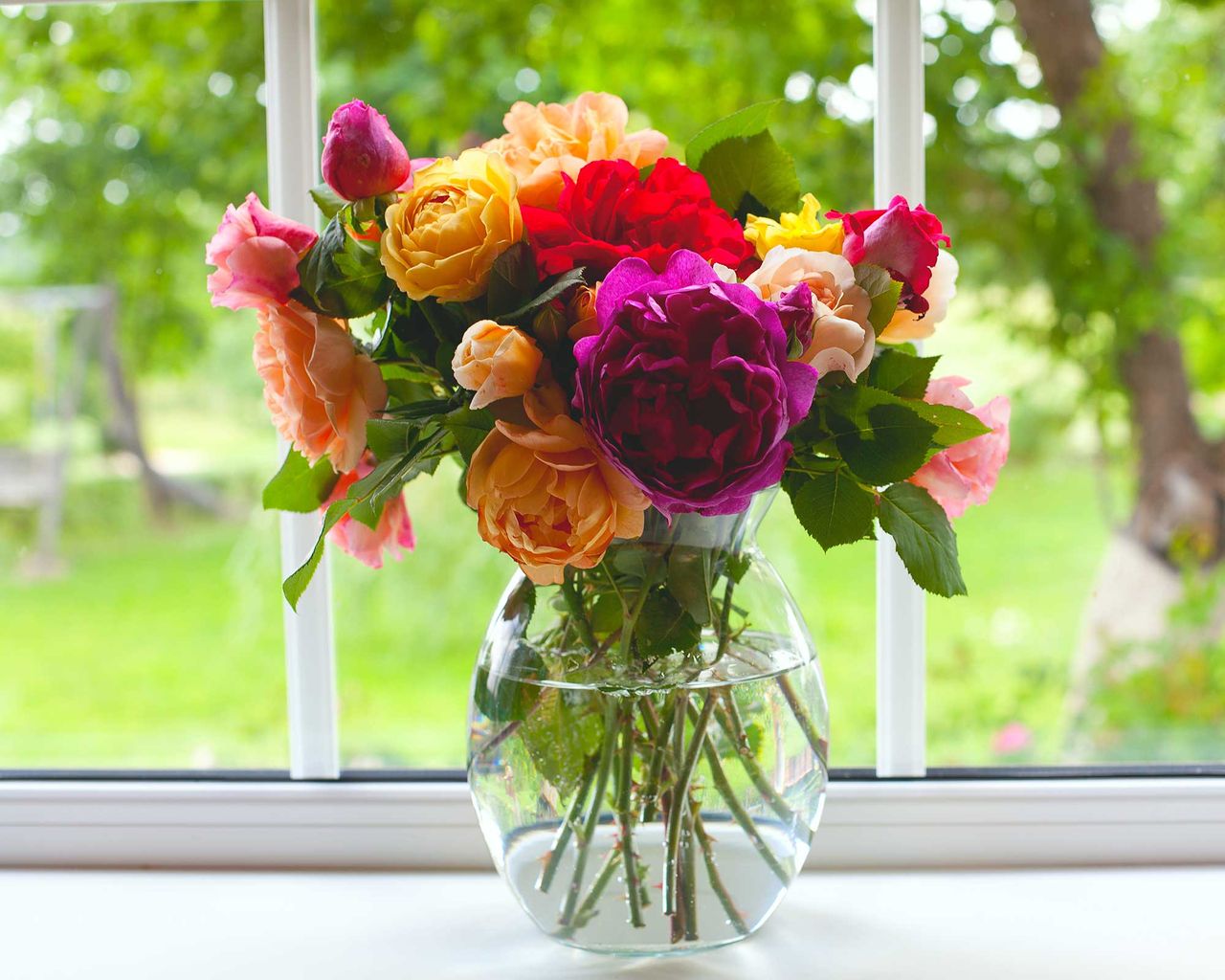 Cutting garden flowers: 21 top choices for stunning displays | Gardeningetc