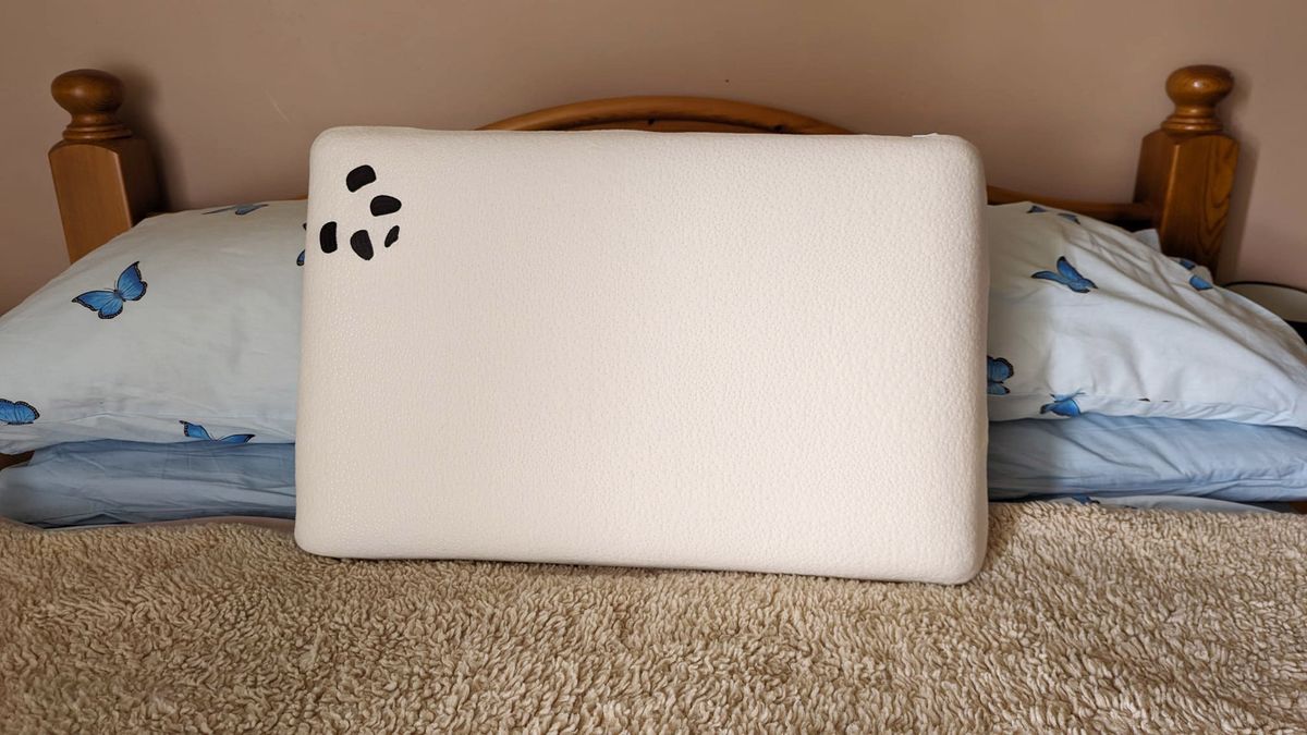 Panda Memory Foam Bamboo Pillow review | TechRadar