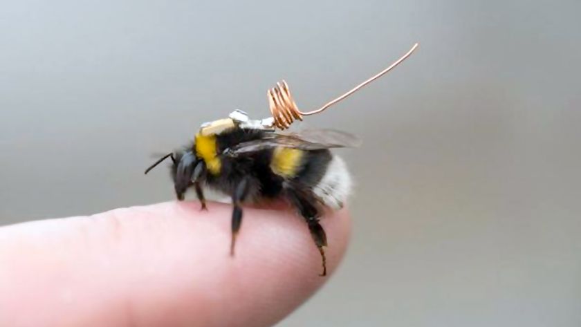 Fantastic beast tech: the wacky world of animal wearables | TechRadar