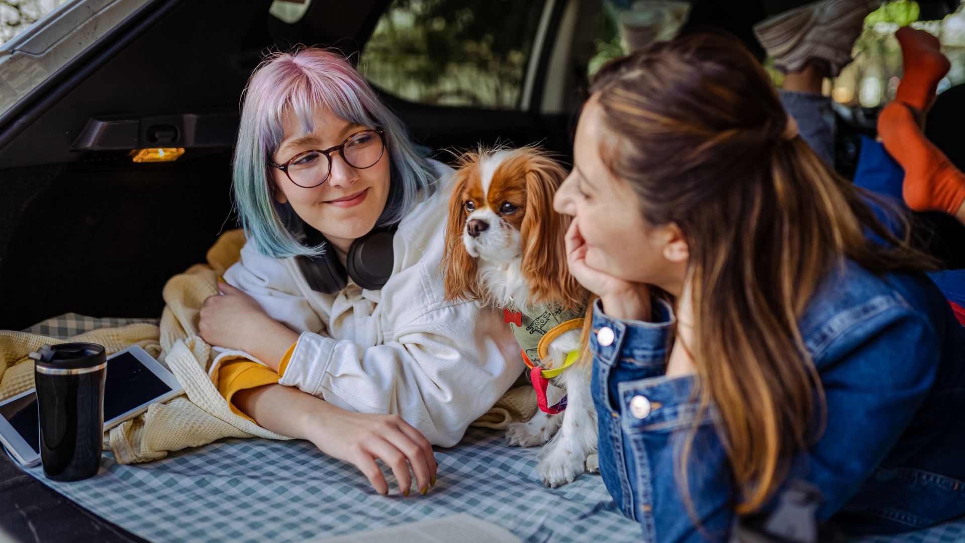 Over 90% of LGBTQ+ pet owners say their pets positively contribute to ...