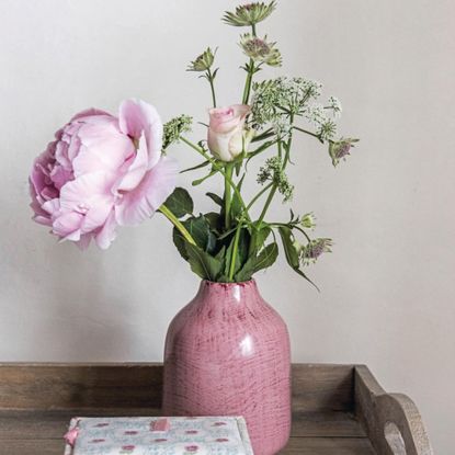 How to grow peonies in pots and containers | Ideal Home