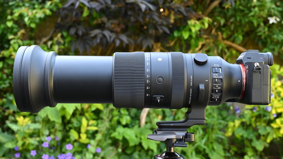 Sigma 60-600mm F4.5-6.3 DG DN OS Sports review | Digital Camera World