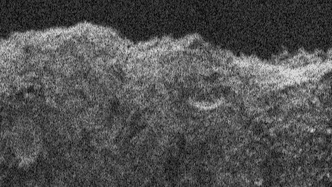 NASA's Europa Clipper radar passes key test during Mars flyby | Space