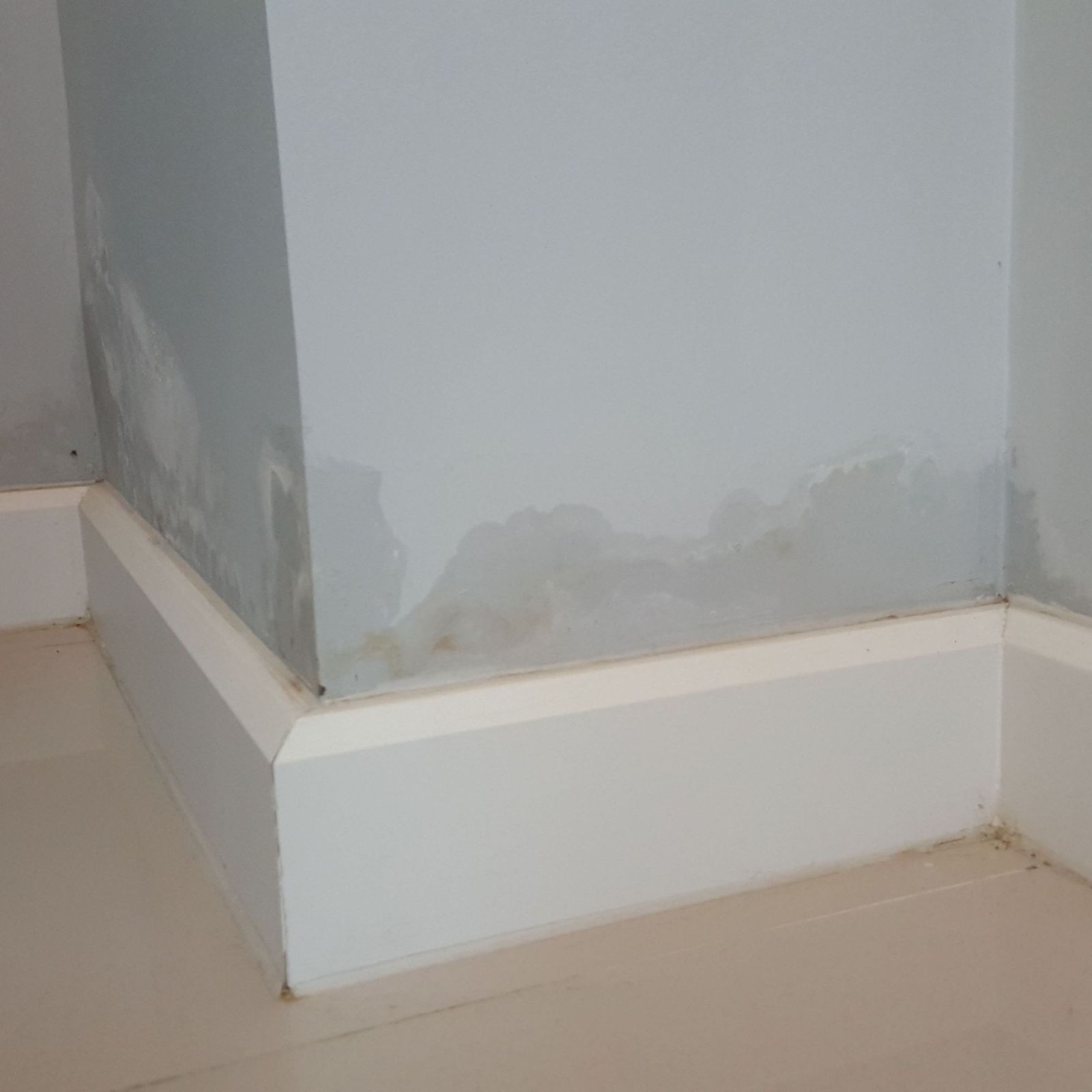 5 signs of rising damp every homeowner should look out for | Ideal Home