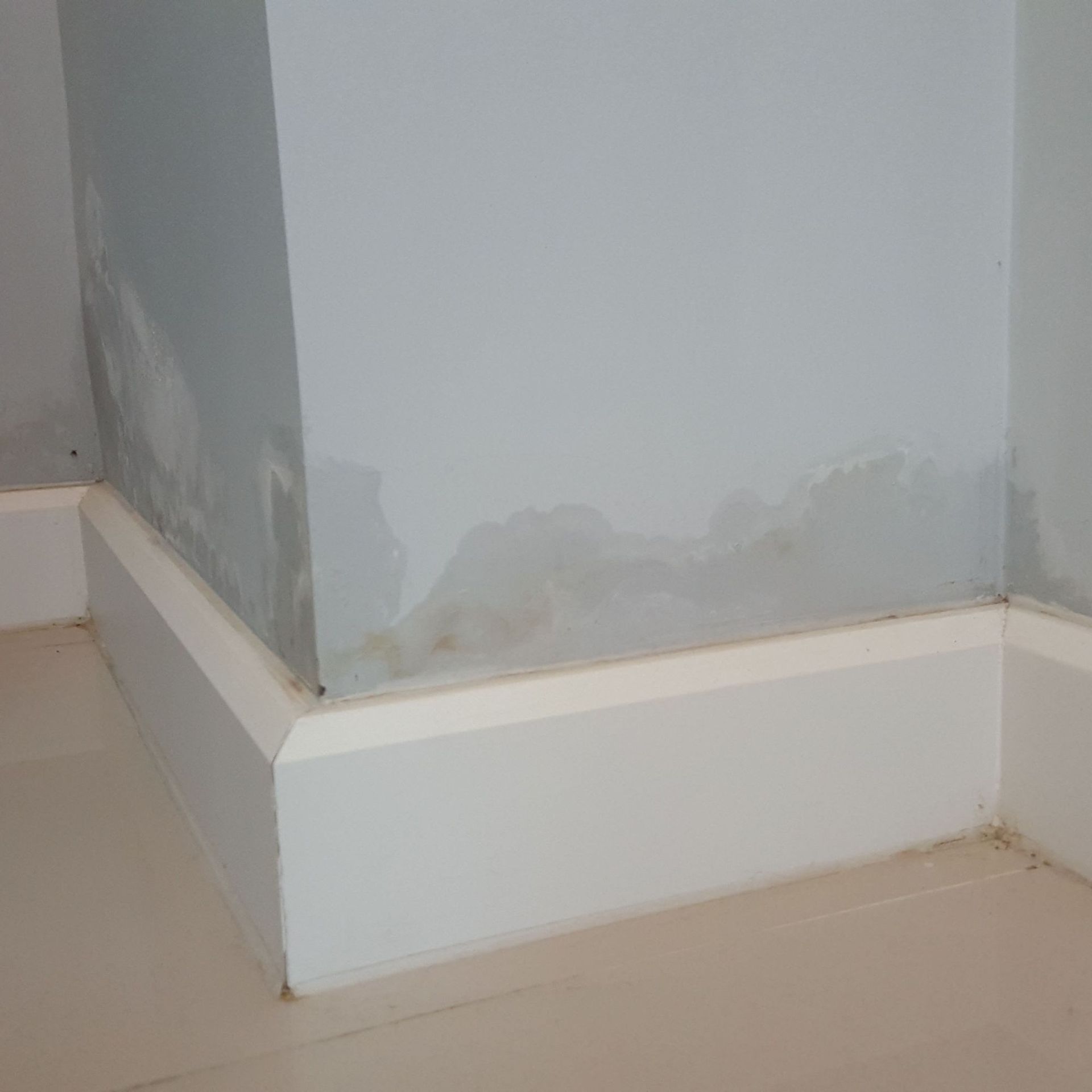 5 signs of rising damp every homeowner should look out for | Ideal Home