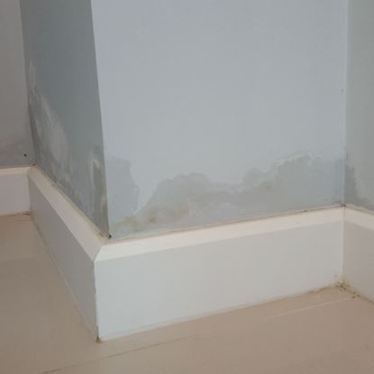 5 signs of rising damp every homeowner should look out for | Ideal Home