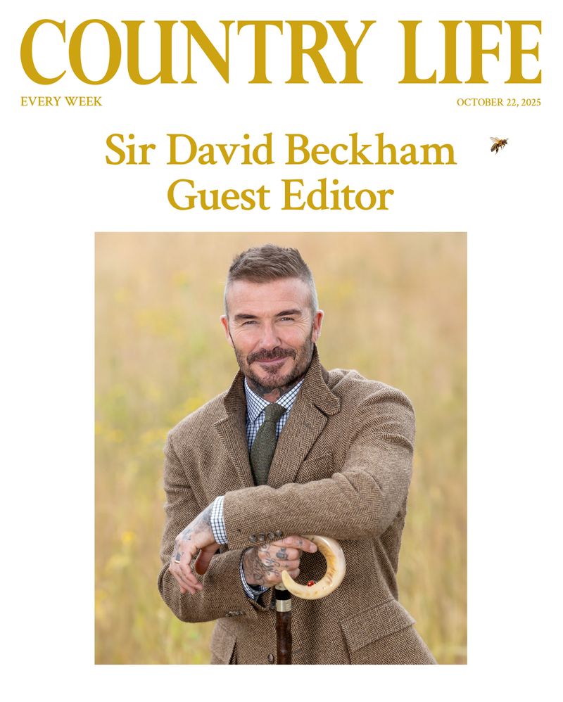 Country Life Magazine Issues | Country Life
