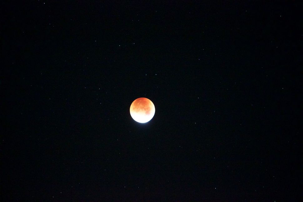 Amazing Photos of the Rare Supermoon Total Lunar Eclipse of 2015: Page ...