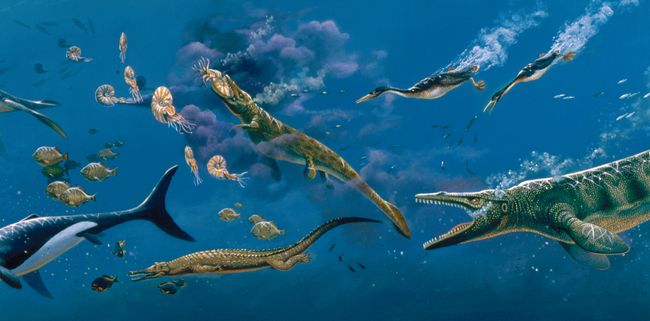 'Long Tail' Is Tale of Extinction for Amazing Sea Creatures | Live Science