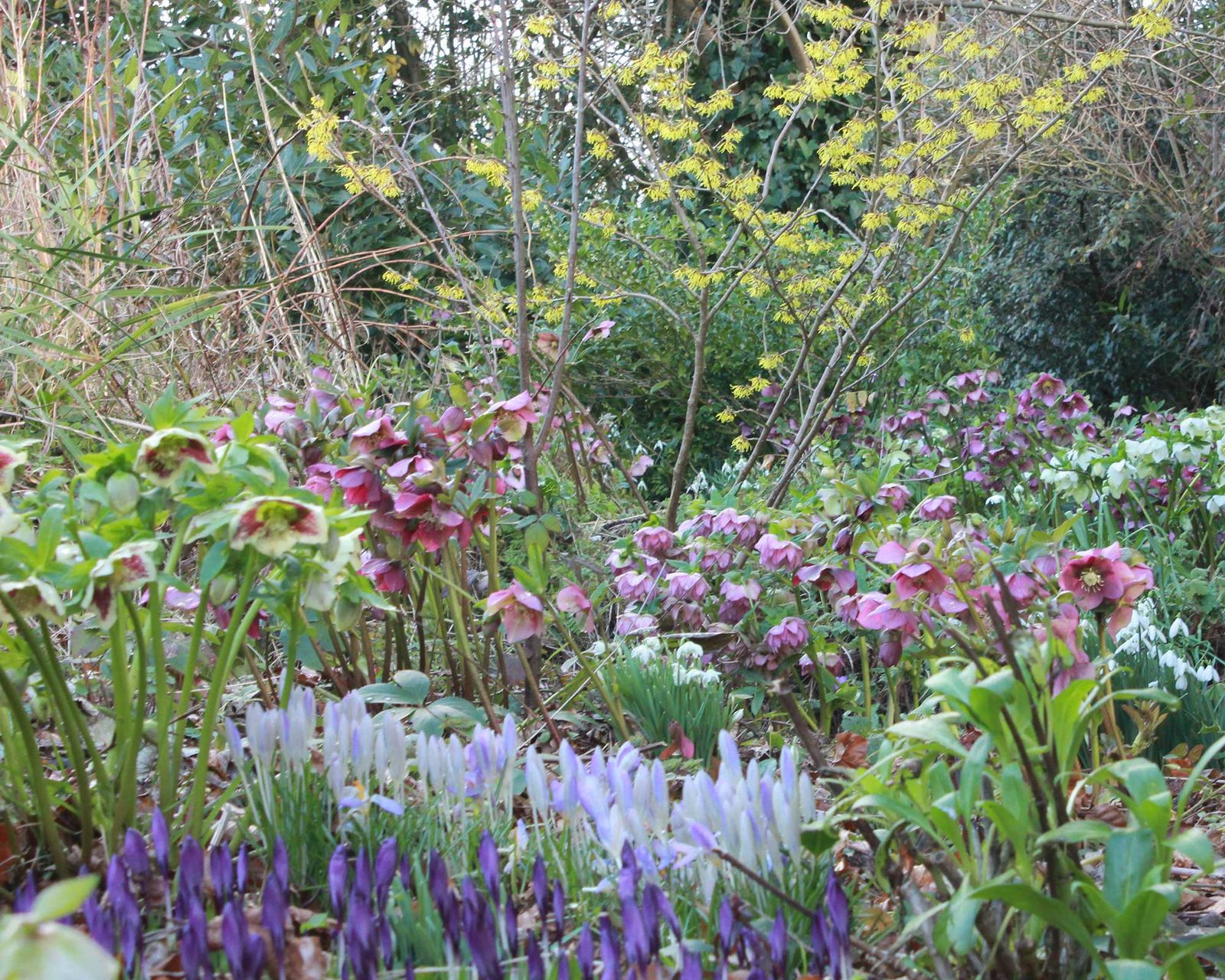 Winter landscaping ideas: 10 enchanting looks for the coldest months of ...