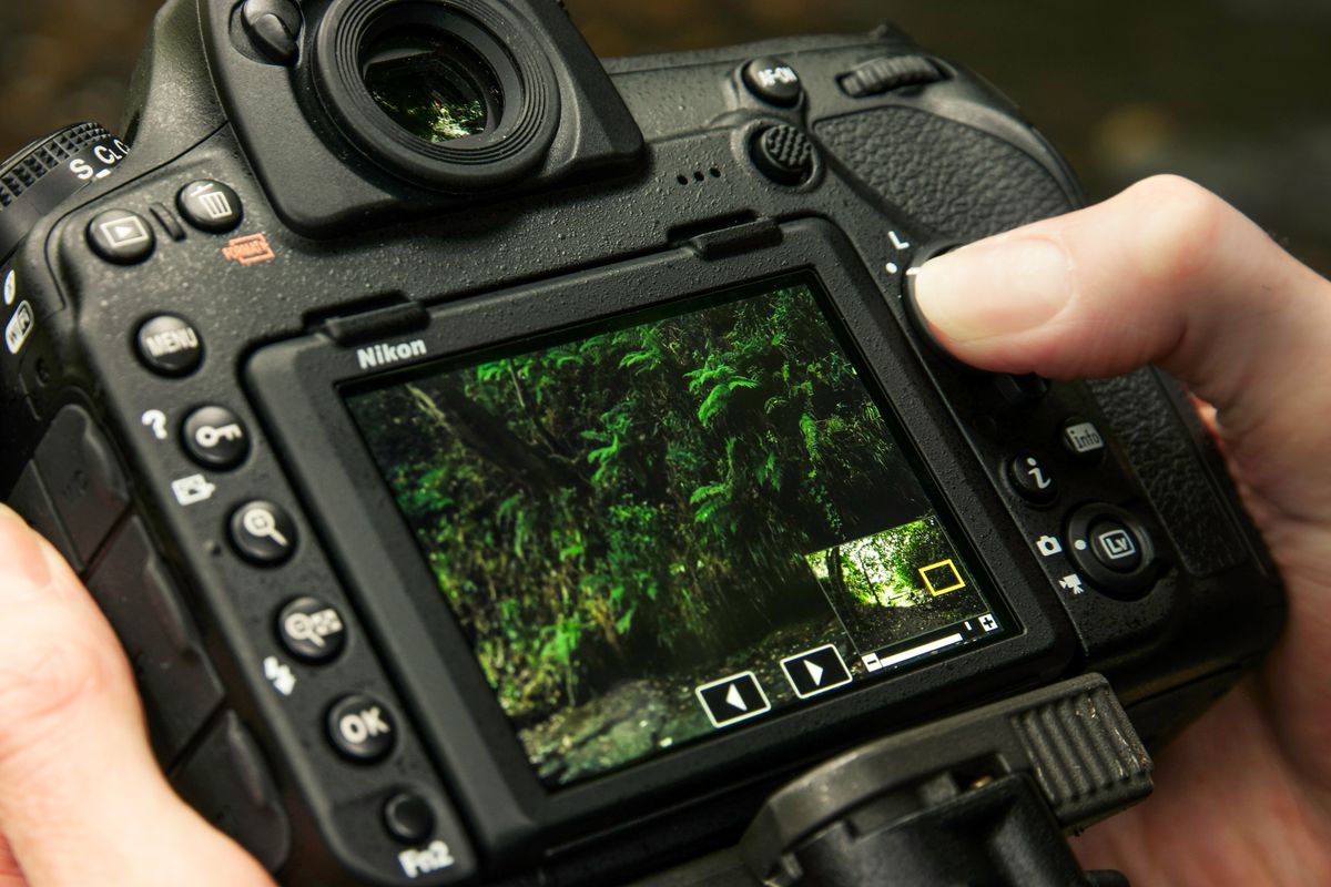 Fisheye fantastic! Use a fisheye lens for 'serious' landscape ...