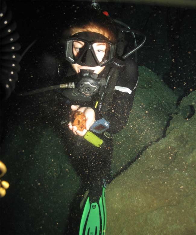 Sloth and Primate Fossils Found in Underwater Cave | Live Science