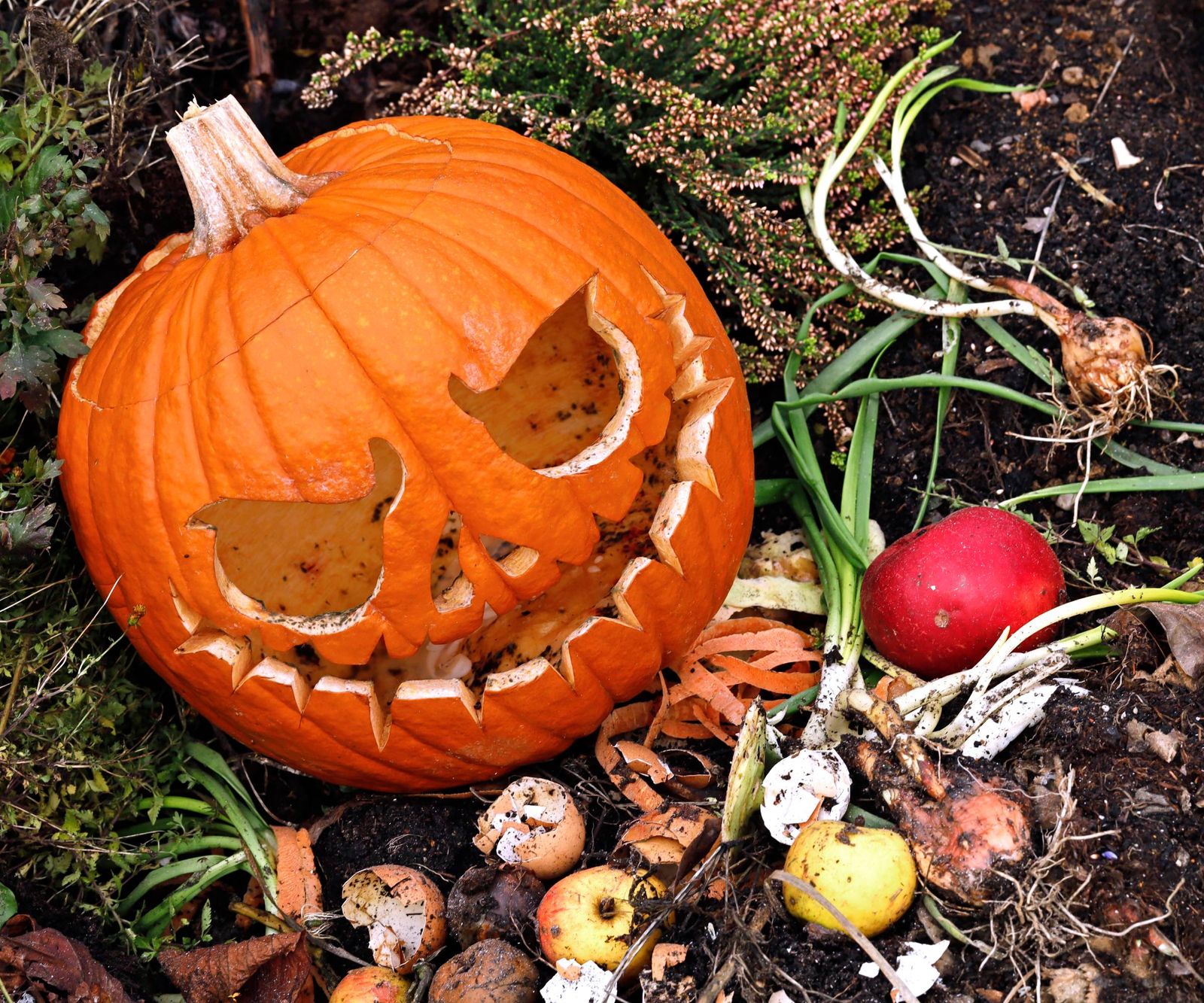 9 Fun Things To Do With Pumpkins After Halloween Is Done | Gardening ...