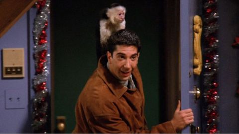 Friends: 25 Animals That Appeared in the Hit NBC Comedy | What to Watch
