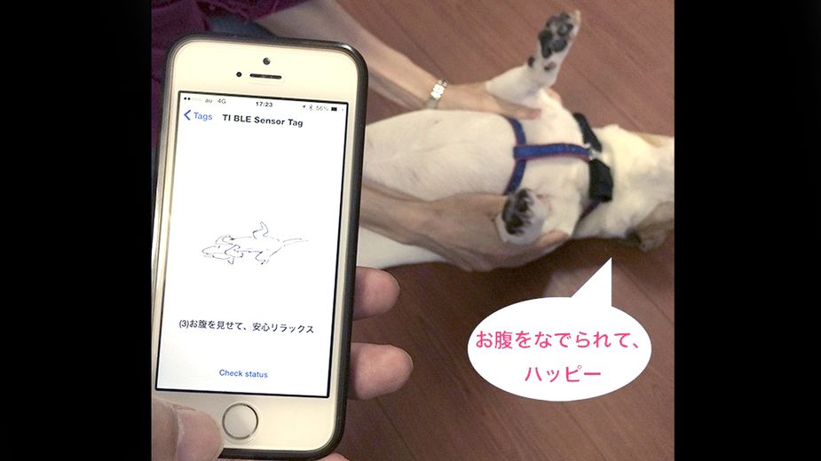 Fantastic beast tech: the wacky world of animal wearables | TechRadar