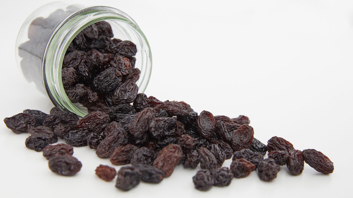 32 foods that dogs should never eat | PetsRadar