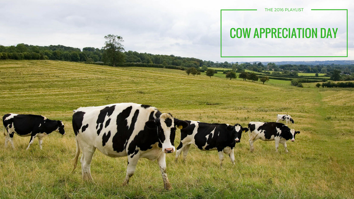 Playlist: 13 songs to celebrate Cow Appreciation Day | Louder