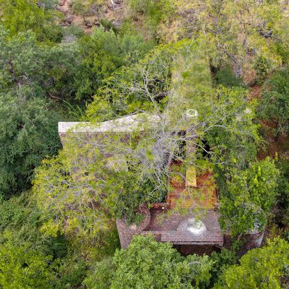 This Skinny House in The South African Bush Leaves Nature Untouched