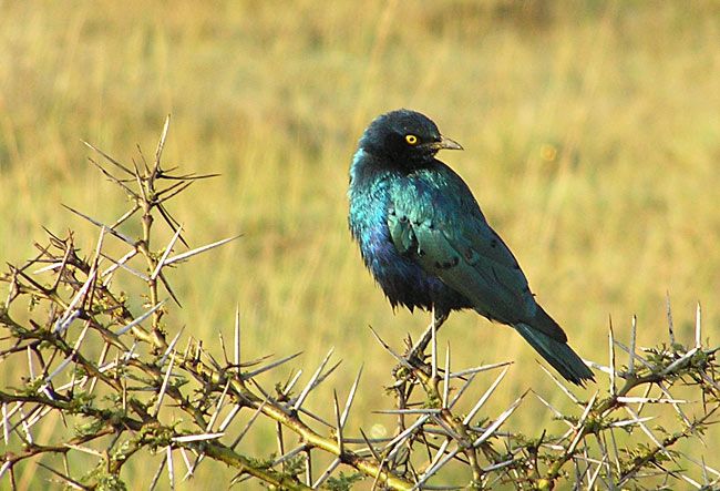 Articles by: Corey Binns | Live Science