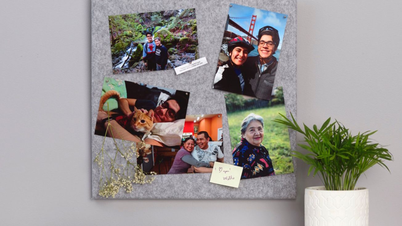 Google Photos' affordable photo and canvas print service has just gone ...