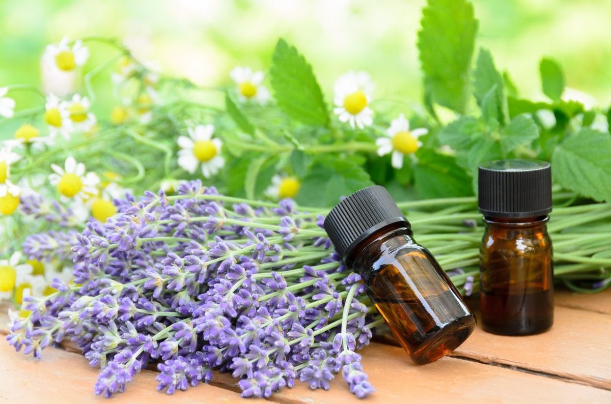 Essential Oil Information - How To Use Essential Oils From Garden ...