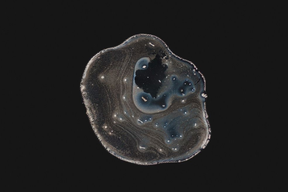 This is what ecstasy looks like under a microscope | The Week