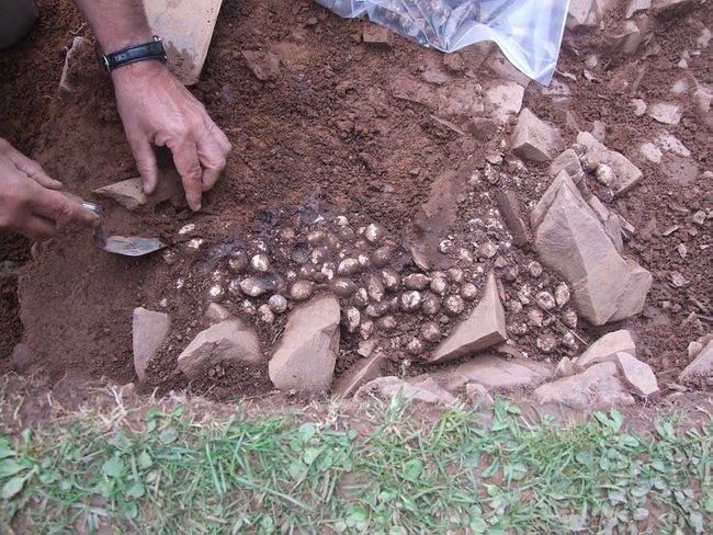 In Photos: Archaeologists Map Roman Raid on Scottish Hill Fort | Live ...