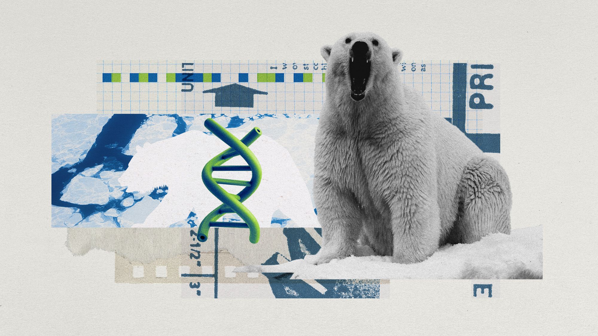 Jumping genes are causing genetic changes in polar bears | The Week