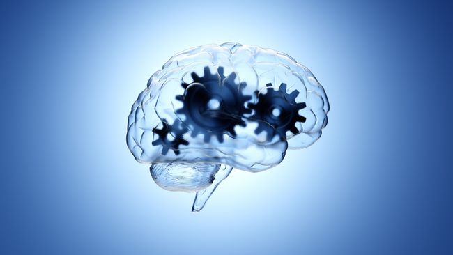 How long can the brain survive without oxygen? | Live Science