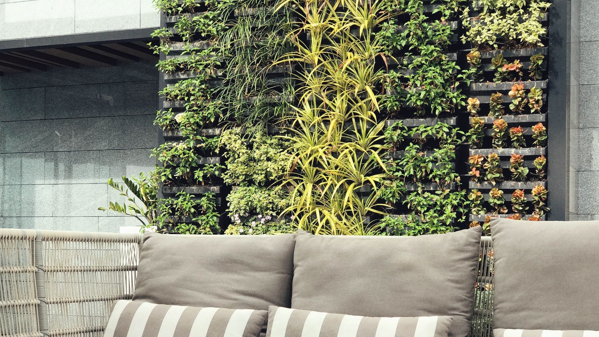5 easy ways to grow a vertical garden and save space | Tom's Guide