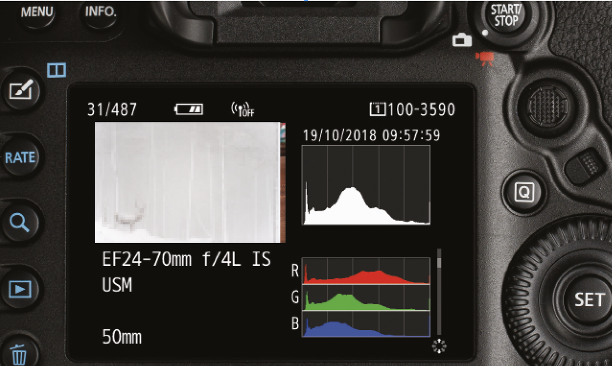 How to capture stunning winter wildlife – Part 4: wildlife in the ...