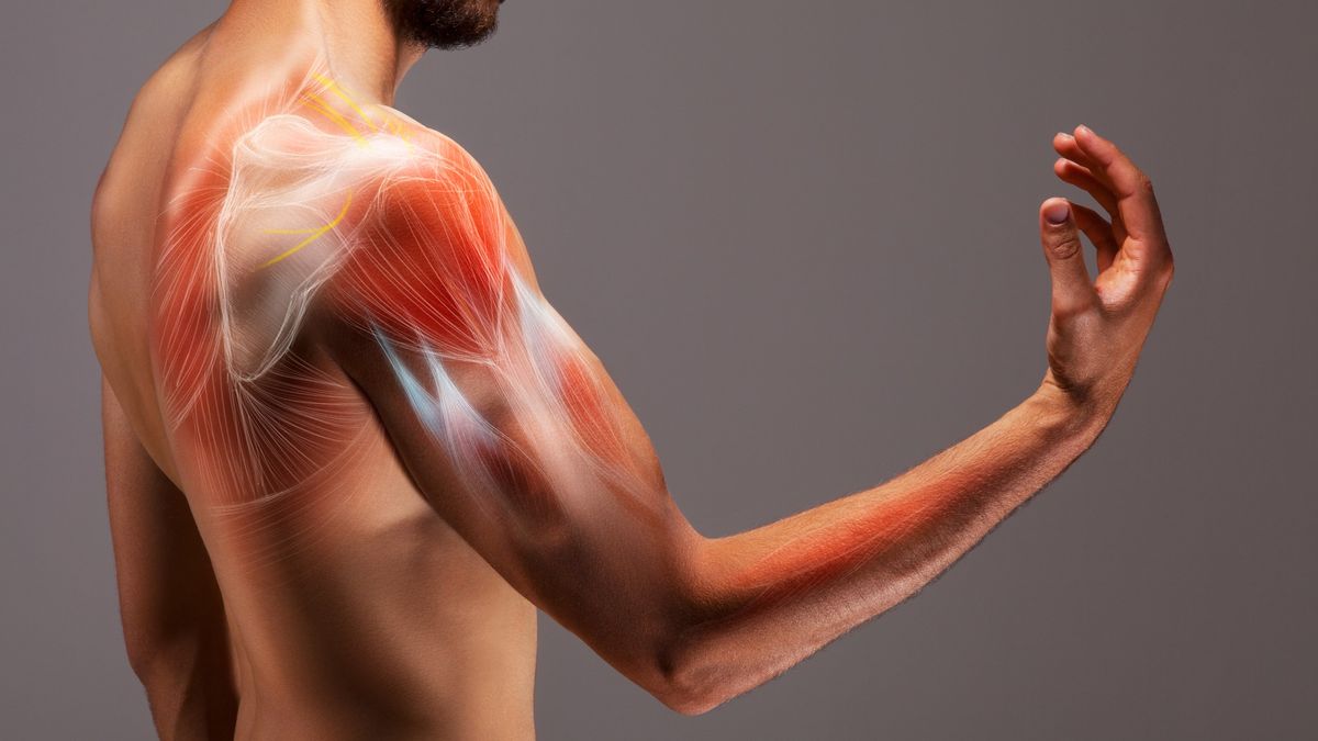 How the body changes in space — usually, for the worse | Live Science