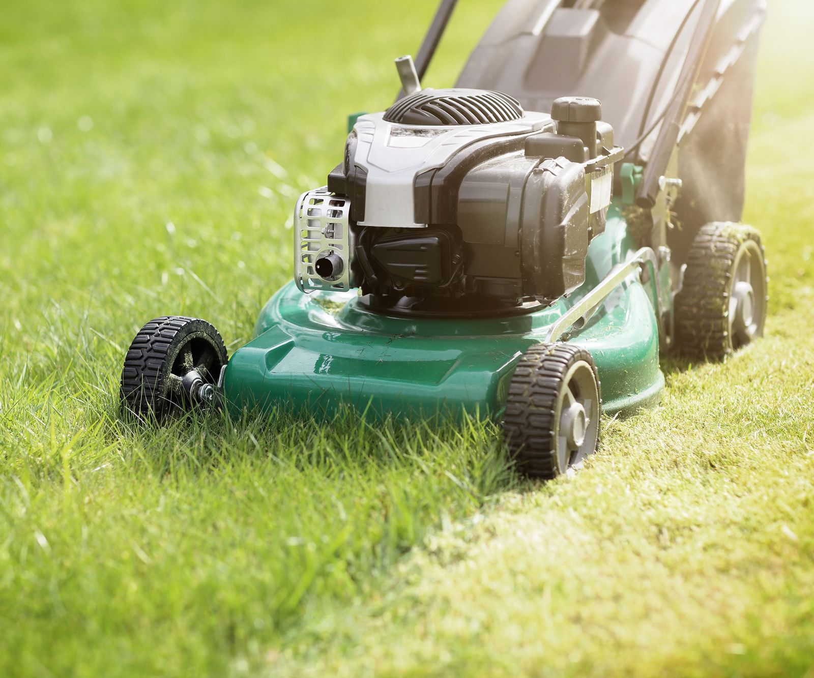 How to Overseed a Lawn in Spring: A Guide to Repairing Damaged Grass ...