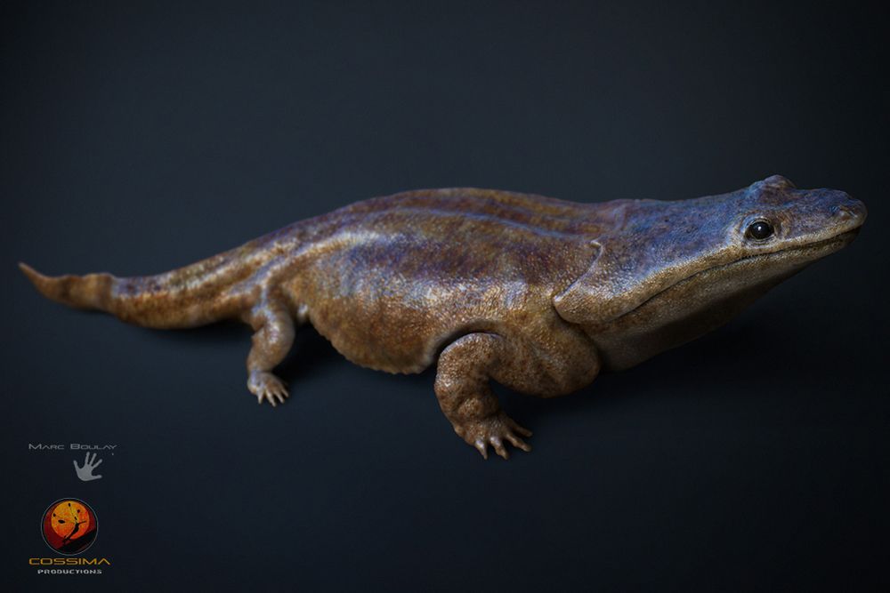 In Photos: Giant Amphibian Ruled Ancient Rivers | Live Science