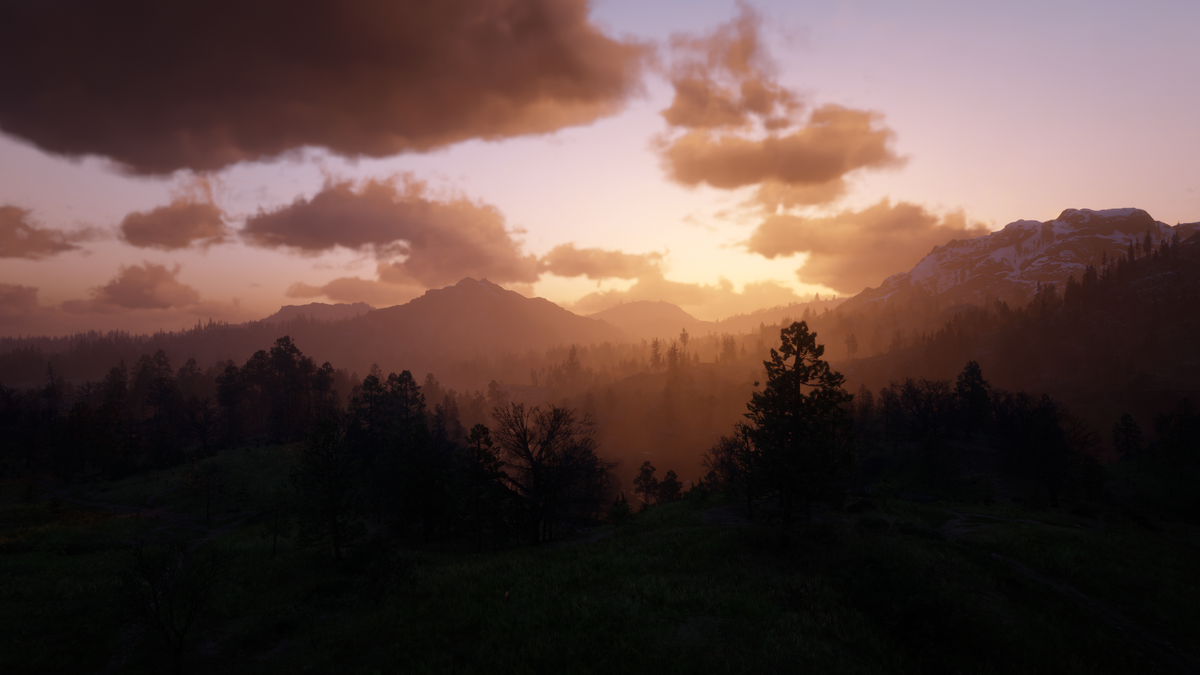 Red Dead Redemption 2 review | PC Gamer