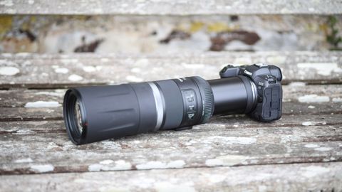 The best lenses for bird photography | Digital Camera World