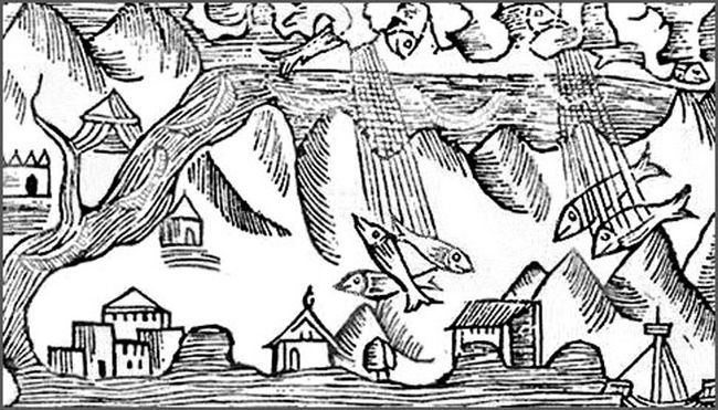 Raining Frogs & Fish: A Whirlwind of Theories | Live Science