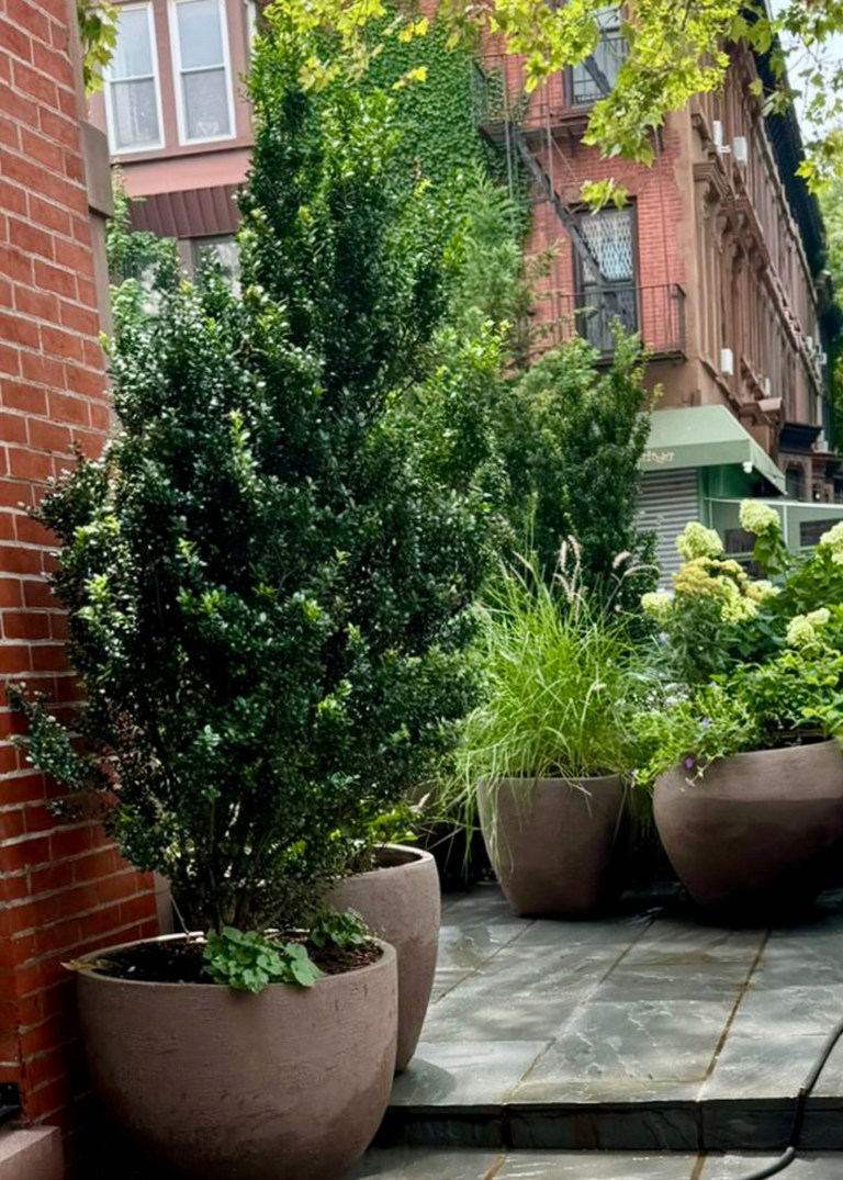 7 Front Garden Privacy Ideas for a Secluded Entrance | Livingetc