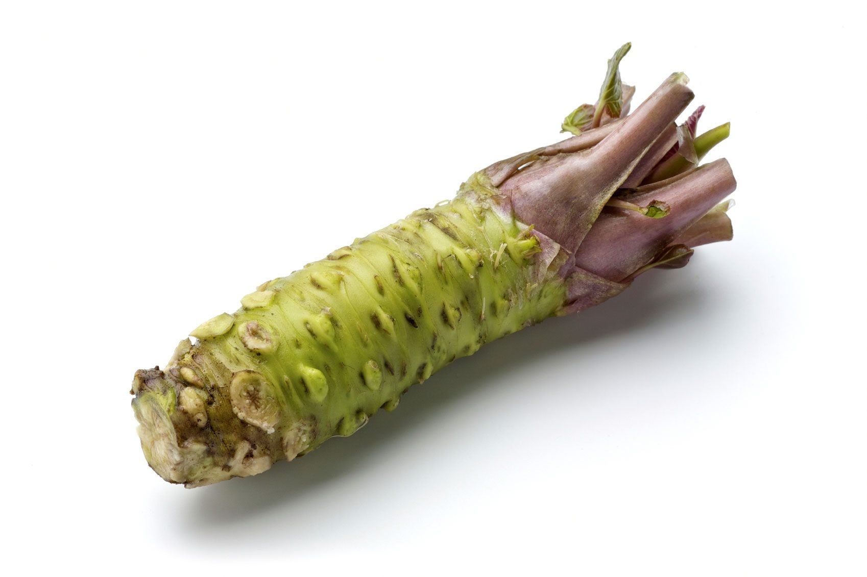 What Is Wasabi - Tips For Using Wasabi Vegetable Root | Gardening Know How