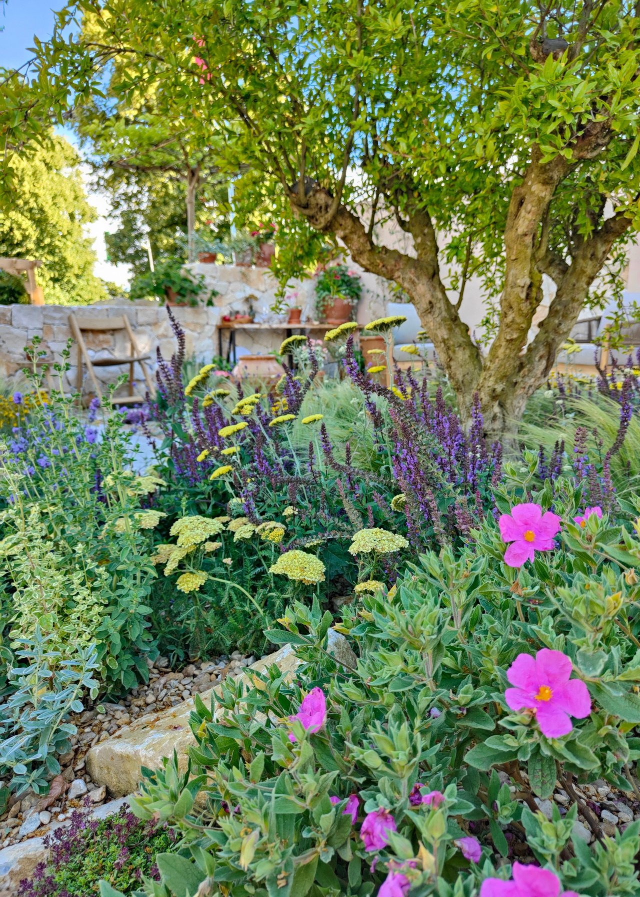 7 Greek Garden Ideas to Bring Romance to Your Backyard | Livingetc