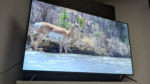 Amazon Fire TV Omni Mini-LED review: Amazon’s most advanced television ...