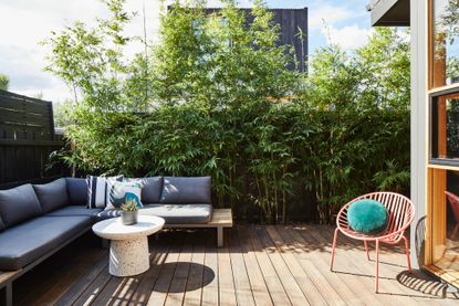 5 creative ways to disguise your neighbor's unsightly backyard wall ...