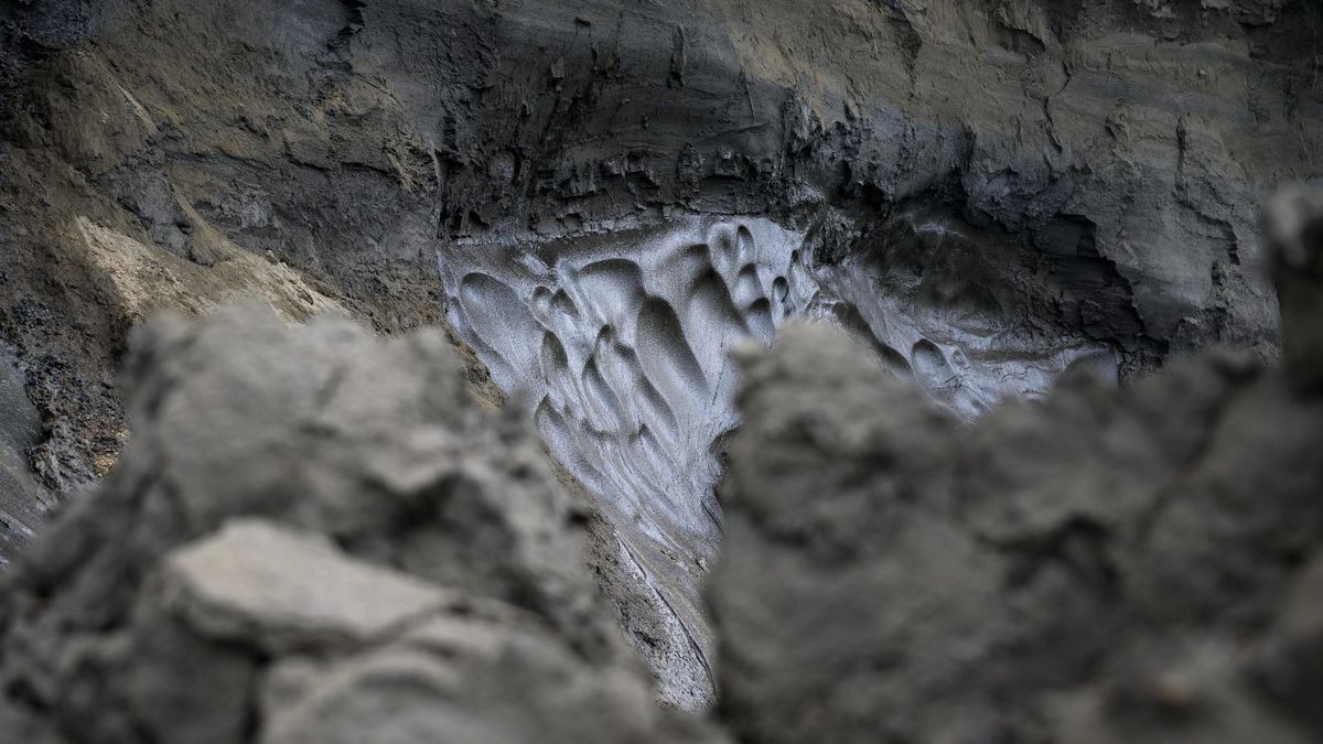 46,000-year-old worm frozen in Siberia revived by scientists | The Week
