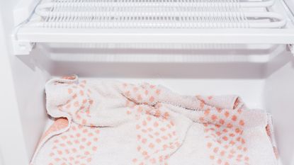 How to defrost a freezer: 6 simple steps guided by experts | Woman & Home