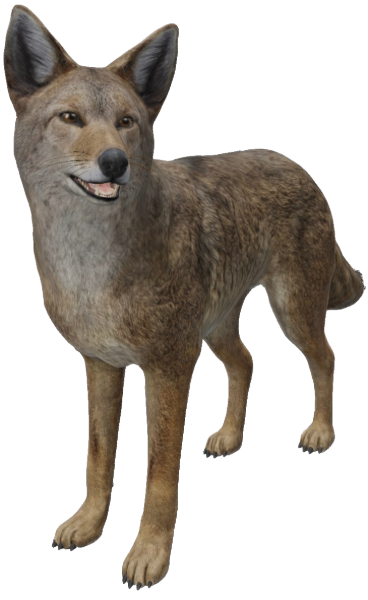 Google 3D animals & AR objects: Full list & gallery | Android Central