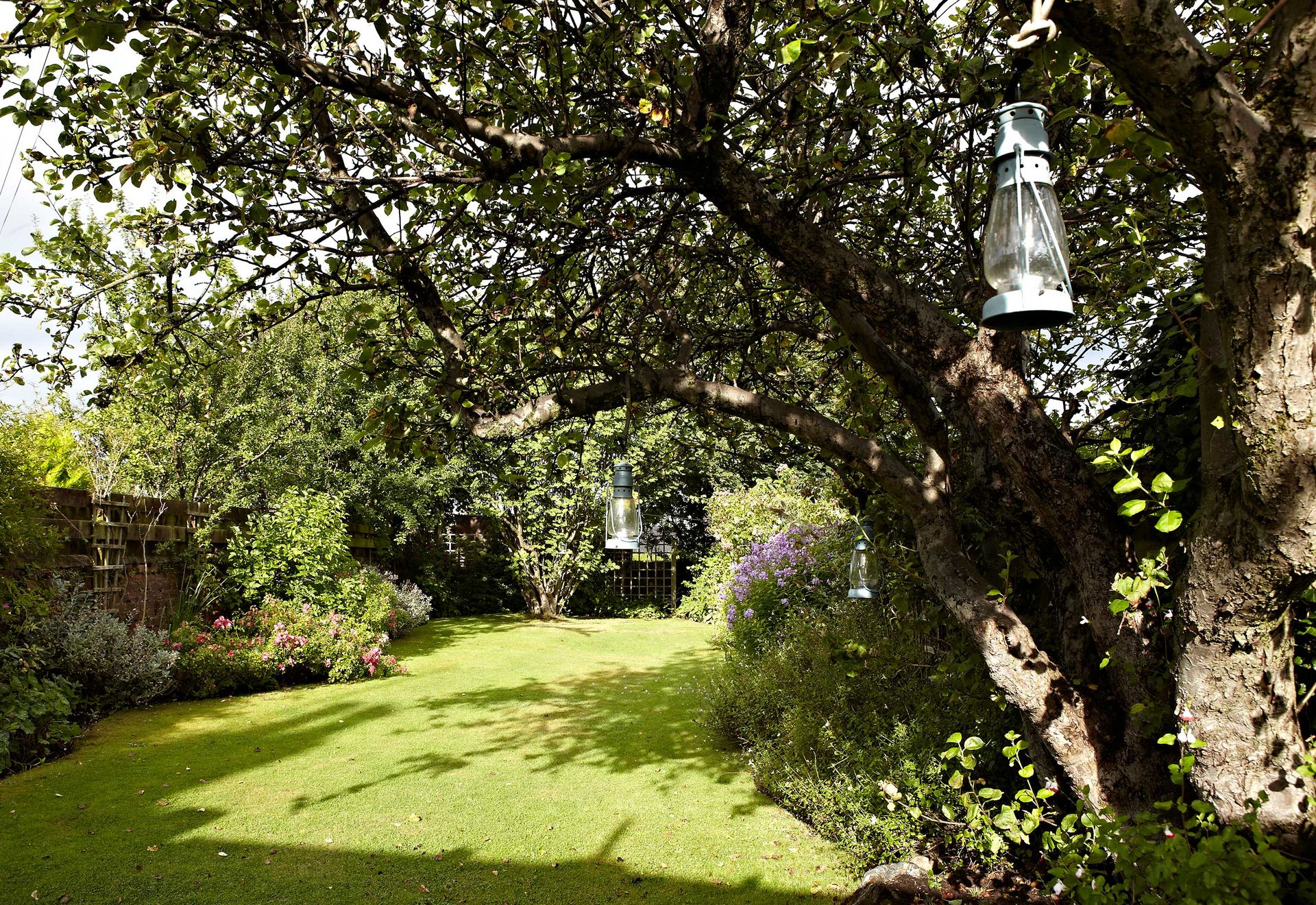 Landscaping around trees: 10 stunning ways to bring them into your plot ...
