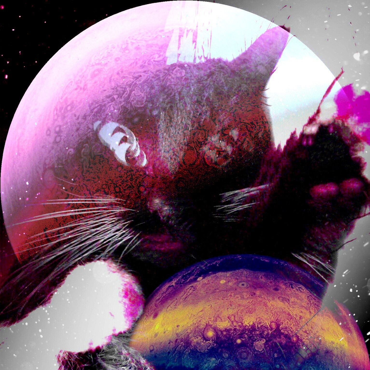 Jupiter as Art: Amazing Images Star Space Cats, Jimi Hendrix and More ...