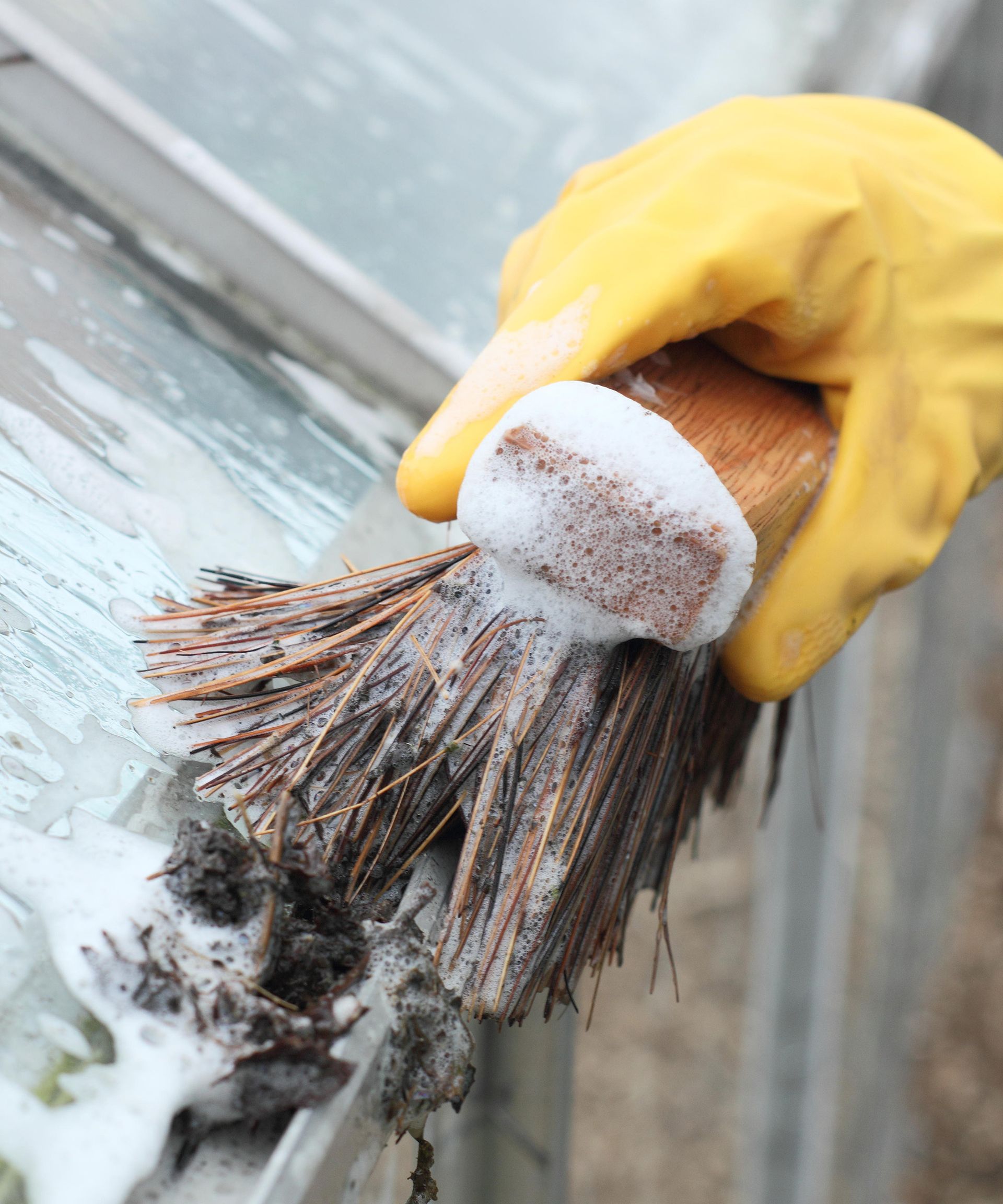 Learn how to clean a greenhouse: 4 essential steps | Homes and Gardens